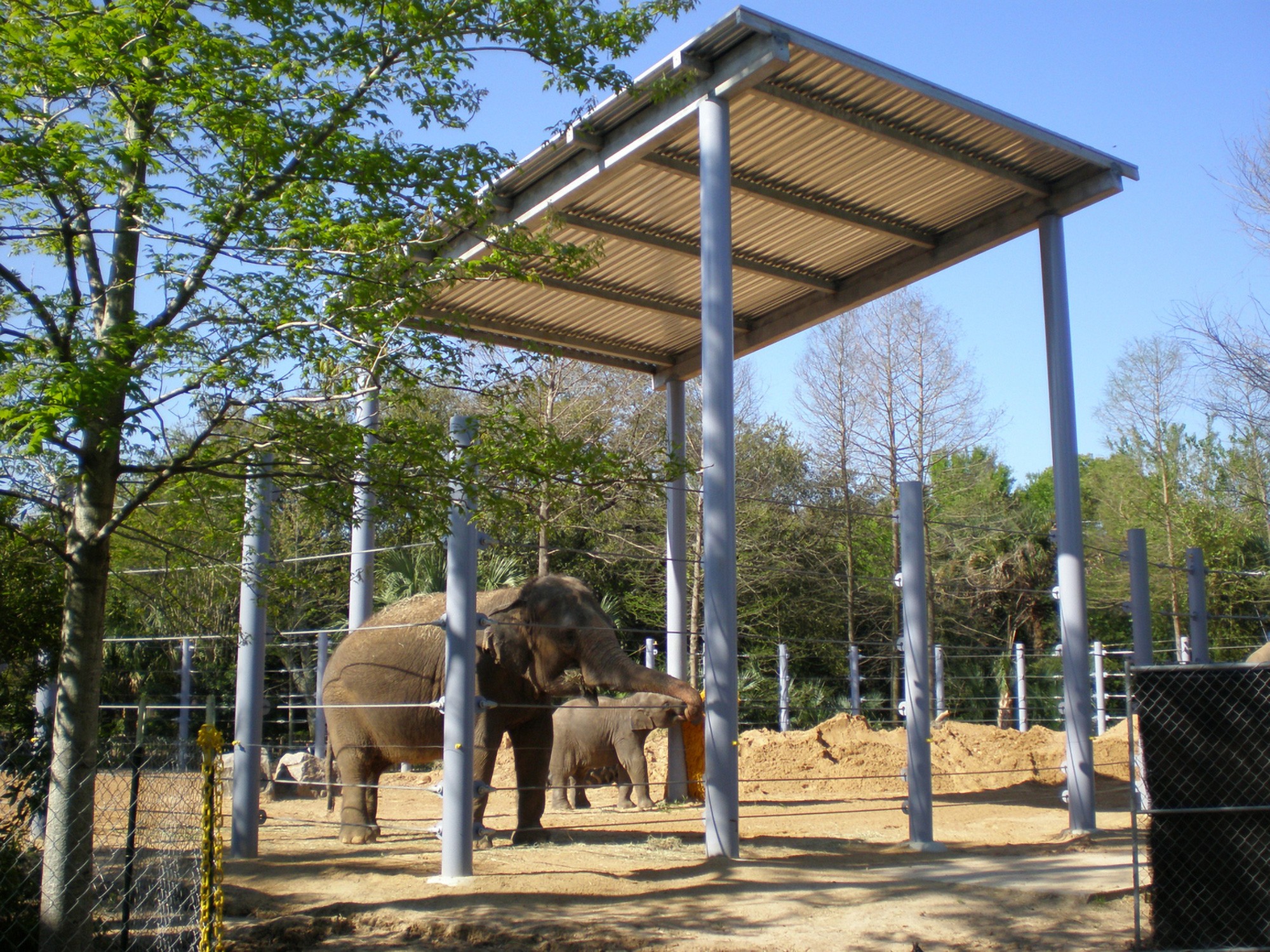 Houston Zoo McNair Asian Elephant - Coffman Engineers