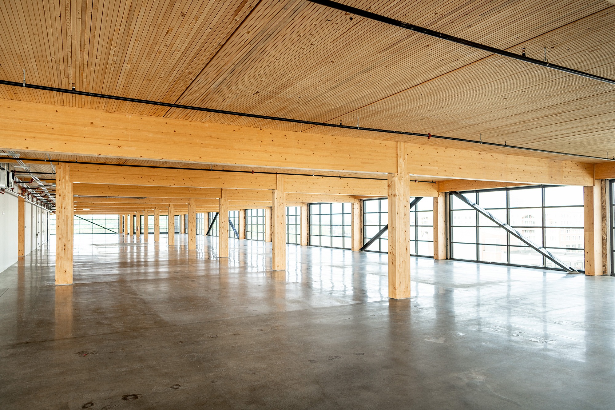 What you should know about Mass Timber | Coffman Engineers