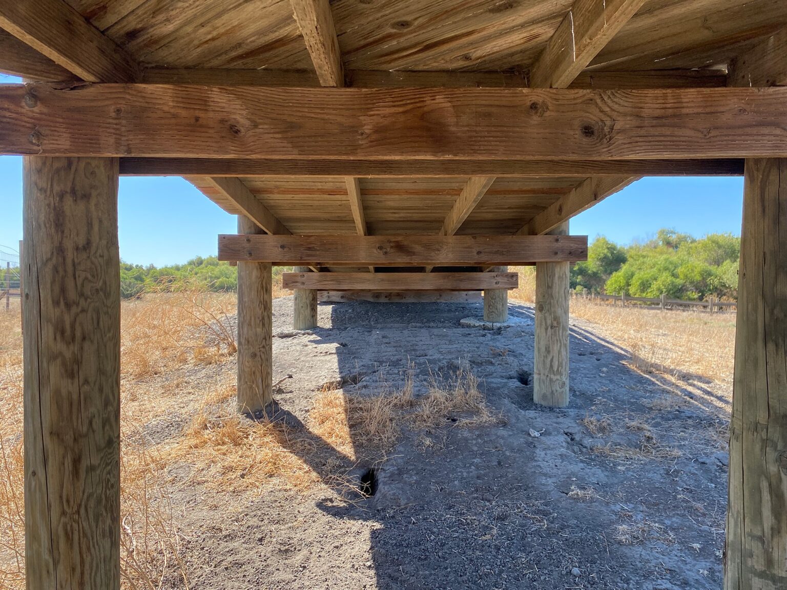 Resistograph Testing | Coffman Engineers